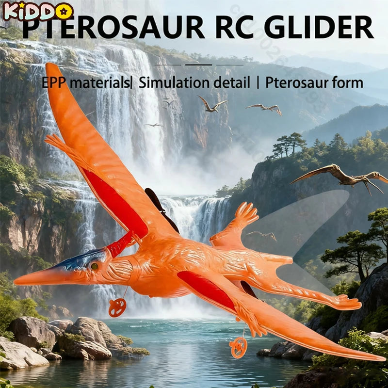 Pterosaur RC Plane Conusea Fixed Wing Glider EPP Foam – InterCyprus