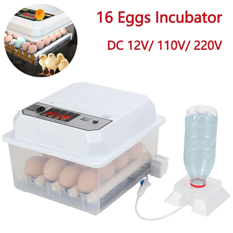 16 Eggs Incubator Dual Electric Egg Turning Farm Poultry Fully ...